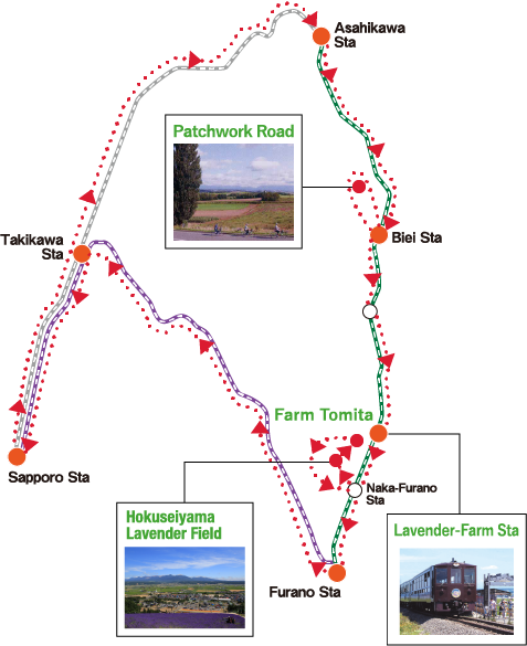 【One-day trip from Sapporo】Visit the hills of Biei by rental bike ...